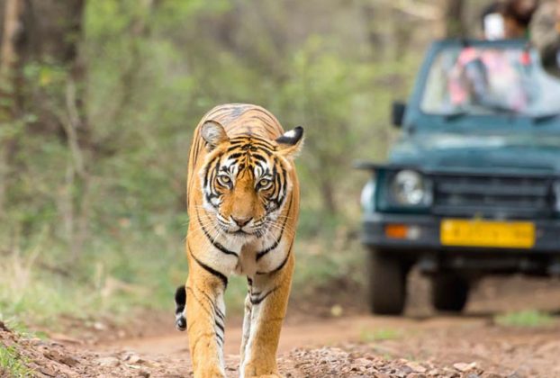 Jaipur divided into four districts, 19 new districts in Rajasthan ...