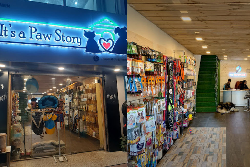 10 Best pet shops in Jaipur for your furry mate - Jaipur Stuff