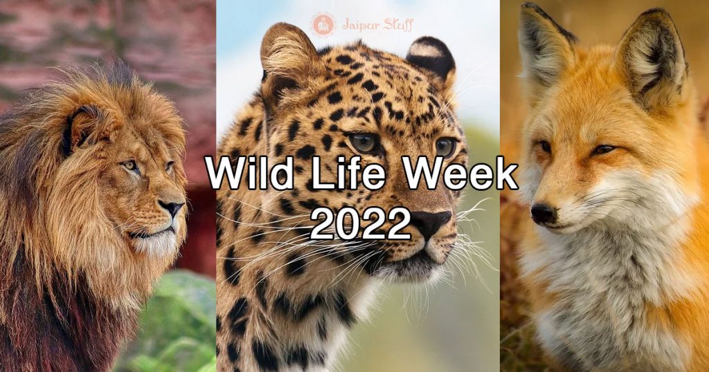 'Wild Animals Week' to be celebrated from October 2 to 8 - Jaipur Stuff