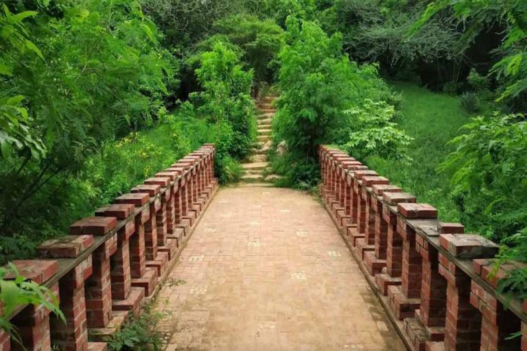 Top 10 gardens in Jaipur to experience the serenity of nature - Jaipur ...