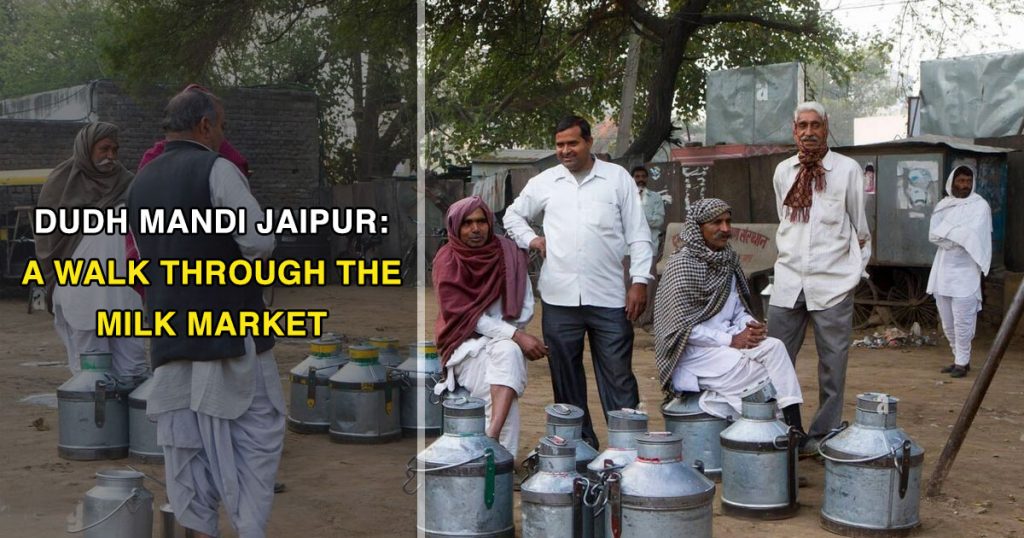 Dudh Mandi Jaipur: A sneak peek into milk market of Jaipur - Jaipur Stuff
